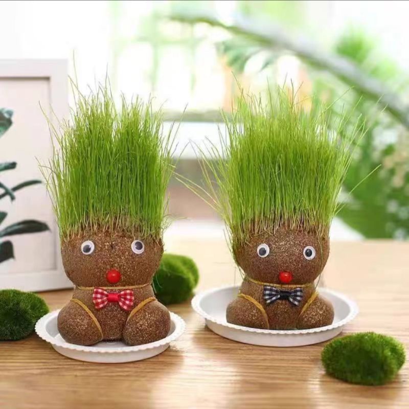 Craft Growing Grass Head Toy Planting For Children Home Office Shopee