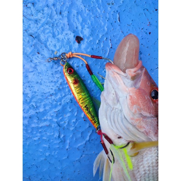 HANDMADE JIG KAIZEN[BILIZ] with UV Reflection 80G/100G Umpan Ikan Palsu ...