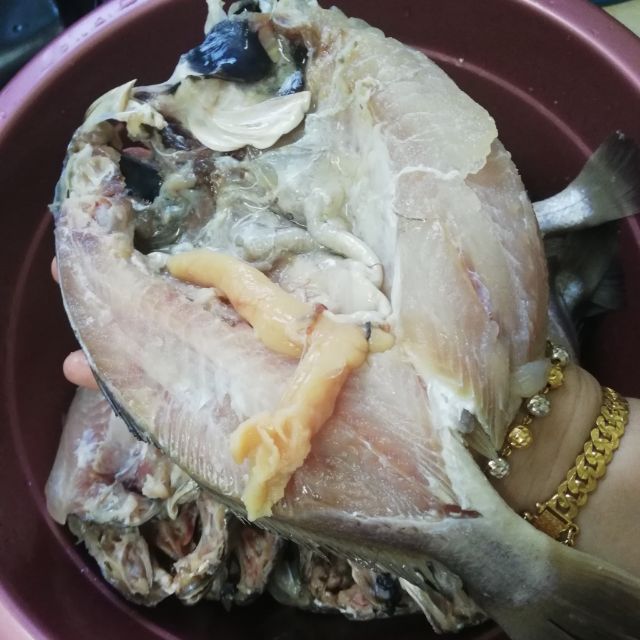 Ikan gelama bekok pembuka selera | Shopee Malaysia