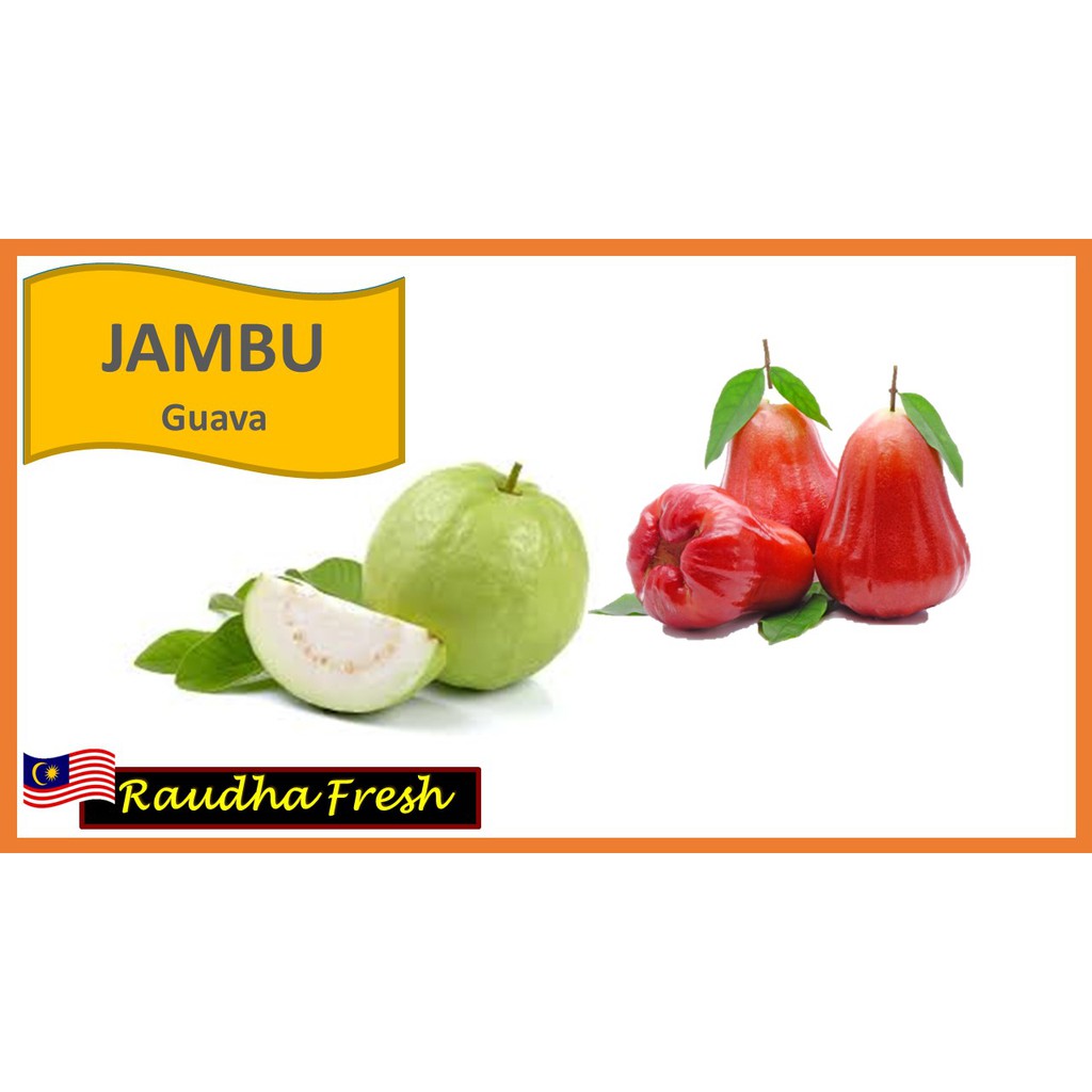 Guava - Jambu (Batu/Air) | Shopee Malaysia