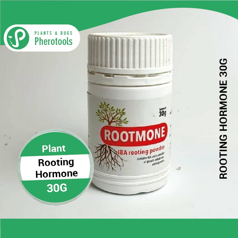 Pherotools 30G Rootmone (IBA Rooting Hormone For Rooting Plants ...