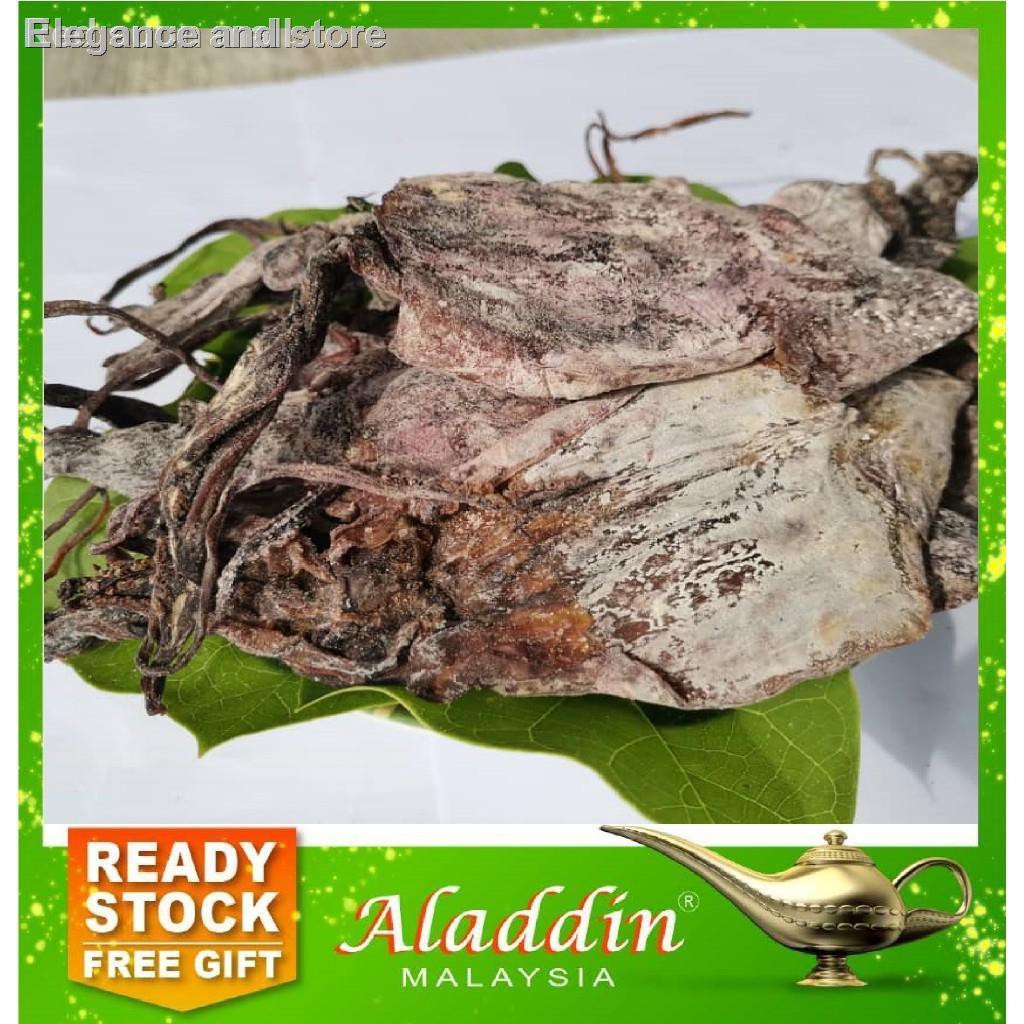 aladdin pro alladin 🚘aladdin🚘 076SH Sotong Hitam / Kering Utk Kembang ...