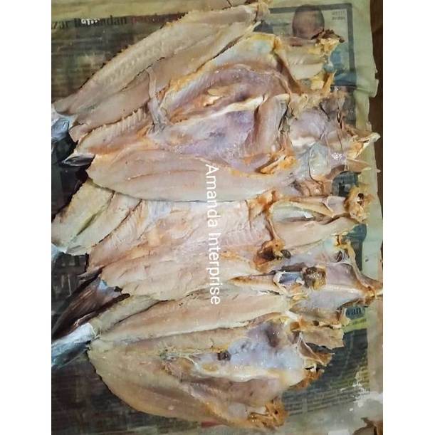 IKAN MASIN OTEK / IKAN KERING OTEK KELUARAN BUMIPUTERA MUSLIM (100 GRAM ...