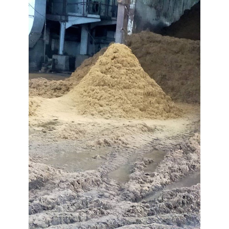fiber sawit murah/sabut kelapa sawit | Shopee Malaysia