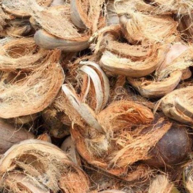 Sabut kelapa asli belum proses | coconut fiber | Shopee Malaysia