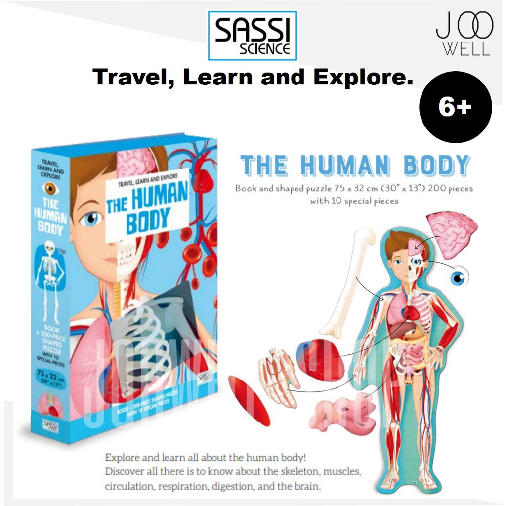 Sassi Science Books and Puzzles Travel, Learn and Explore. The Human ...