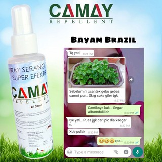 RACUN SERANGGA ORGANIK SPRAY SERANGGA ORGANIK PEROSAK POKOK SPRAY CAMAY ...