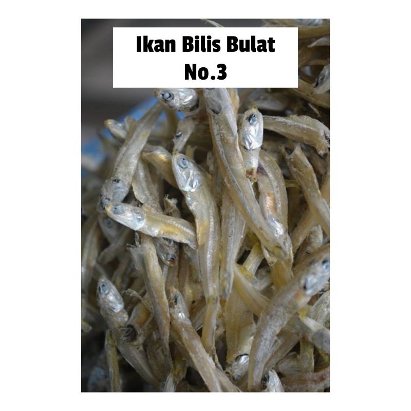 Ikan Bilis Bulat no.3 (500g) | Shopee Malaysia