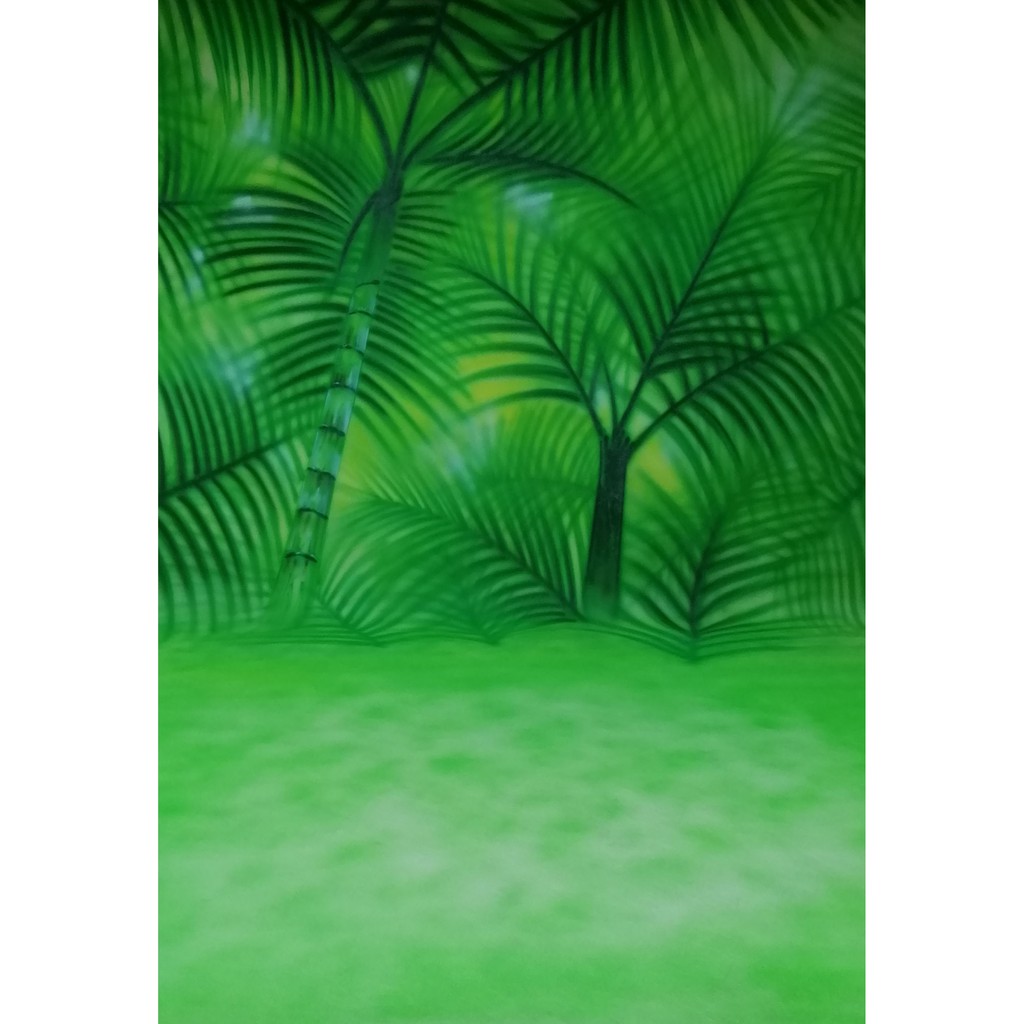 3M X 6M Backdrop Studio Photography Outdoor Photo Background 10x20 ...