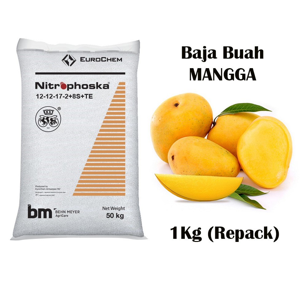 Baja Buah Mangga Nitrophoska 12-12-17-2+8S+TE Mangga Berbuah Lebat Dan ...