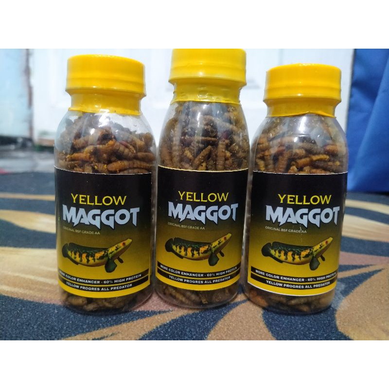 YELLOW MAGGOT GFS 20G | Shopee Malaysia