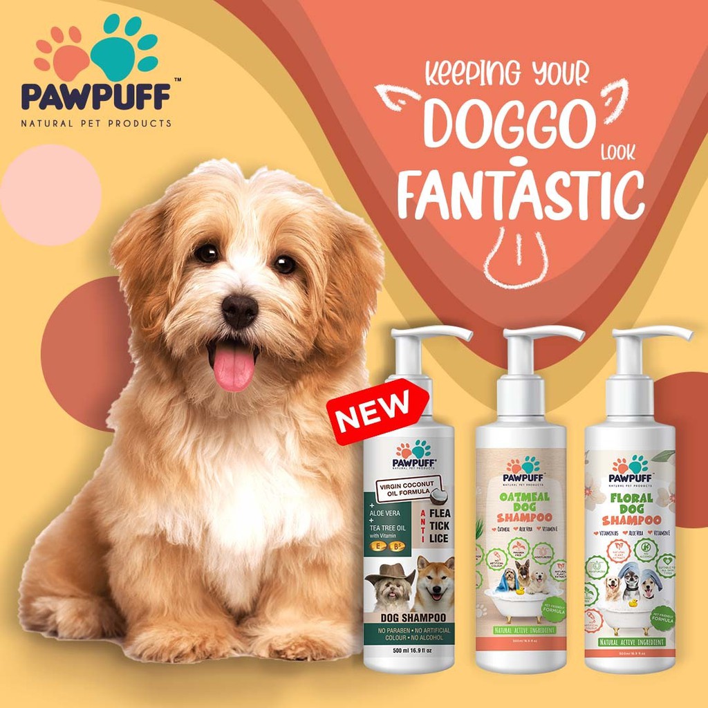 PAW PUFF, Online Shop | Shopee Malaysia