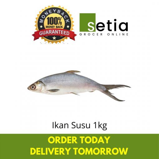 Ikan Susu Fresh 1 kg | Shopee Malaysia