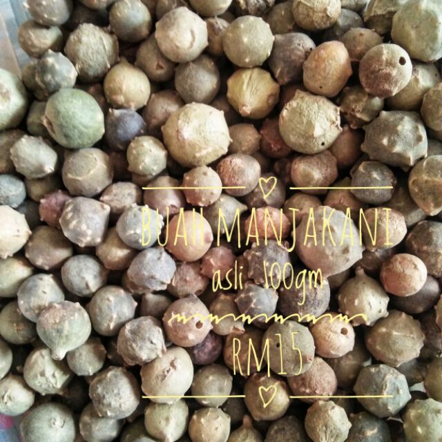 Buah manjakani asli gred A 100gm /500gm | Shopee Malaysia