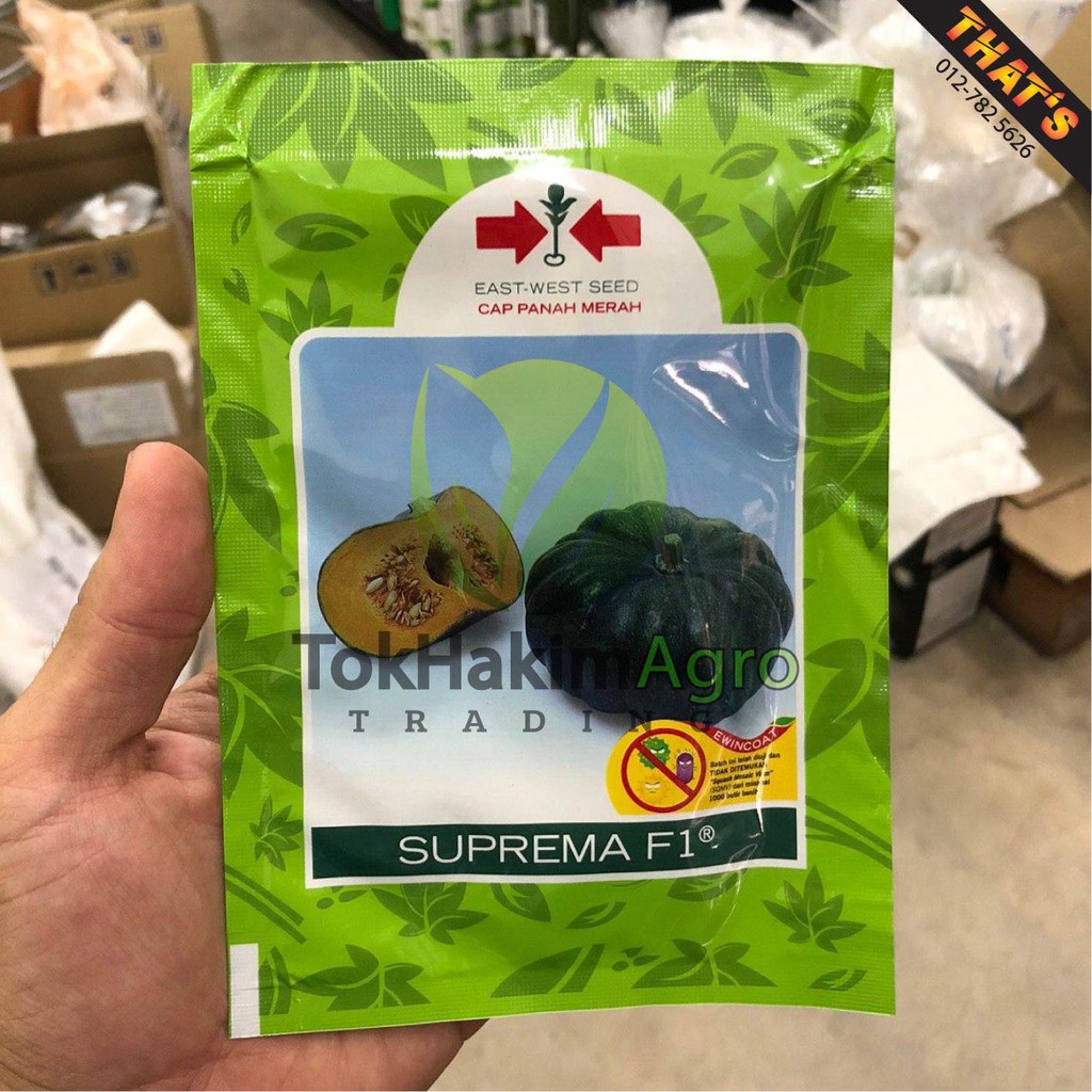 Benih Labu SUPREMA Hibrid F1 Cap Panah Merah/East West (225 biji ...