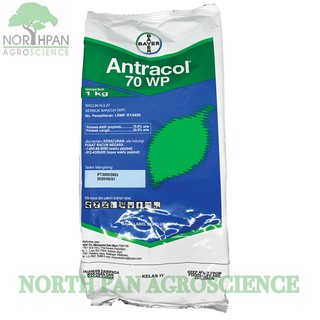 Antracol 70WP 1KG / Fungicides / Bayer | Shopee Malaysia
