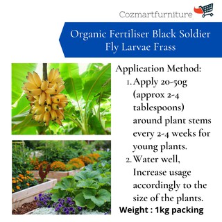 Organic Fertiliser Black Soldier Fly Larvae Frass (BSFL) 黑水虻虫沙/ Baja ...
