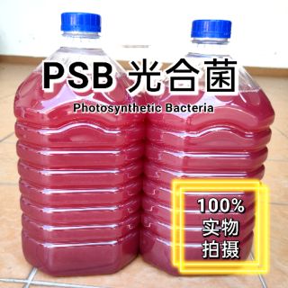 100% PSB光合菌 (Photosynthetic Bacteria) - Ready Stock 5 Litre | Shopee ...