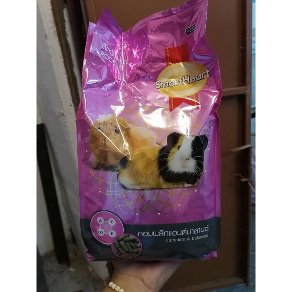 smart heart rodent pallet | Shopee Malaysia