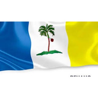 Penang State Flag / Bendera Negeri Pulau Pinang (3ft x 6ft - 90cm x ...