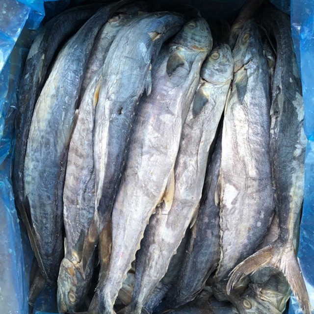 Ikan Tenggiri Jeruk (1pcs 650gram) | Shopee Malaysia