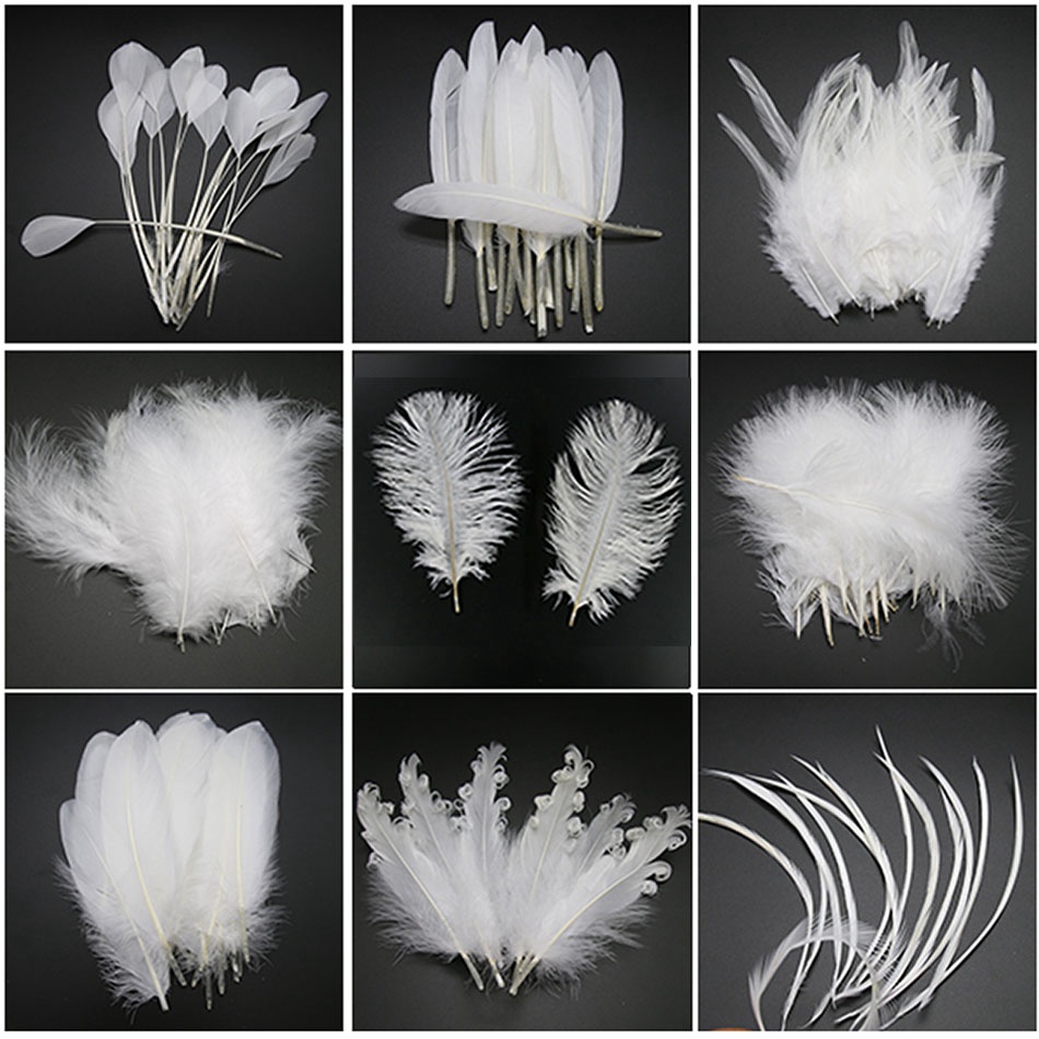 feather - Prices and Promotions - Mar 2023 | Shopee Malaysia