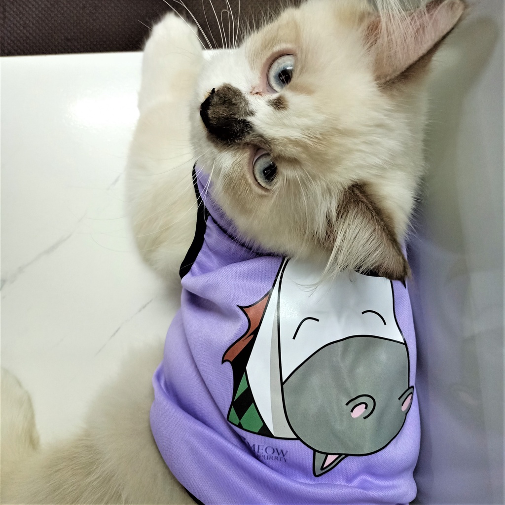 Baju Kucing Jantan Betina Murah Comel Pakaian Haiwan Arnab Beruk Cat ...