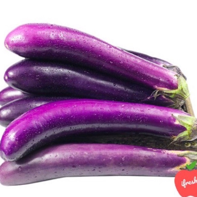 TERUNG SEGAR DARI PASAR | Shopee Malaysia