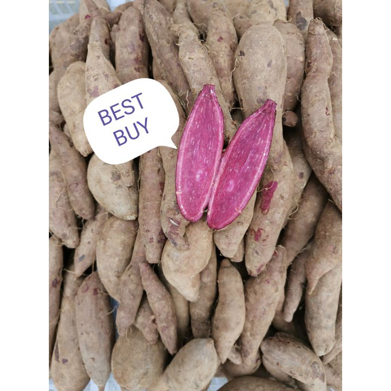 DWARF PURPLE SWEET POTATO (+/-900g) | Shopee Malaysia