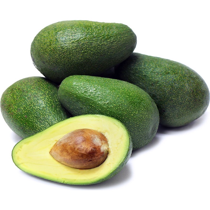 ANAK POKOK AVOCADO MENTEGA HYBRID (STOK TERHAD) | Shopee Malaysia
