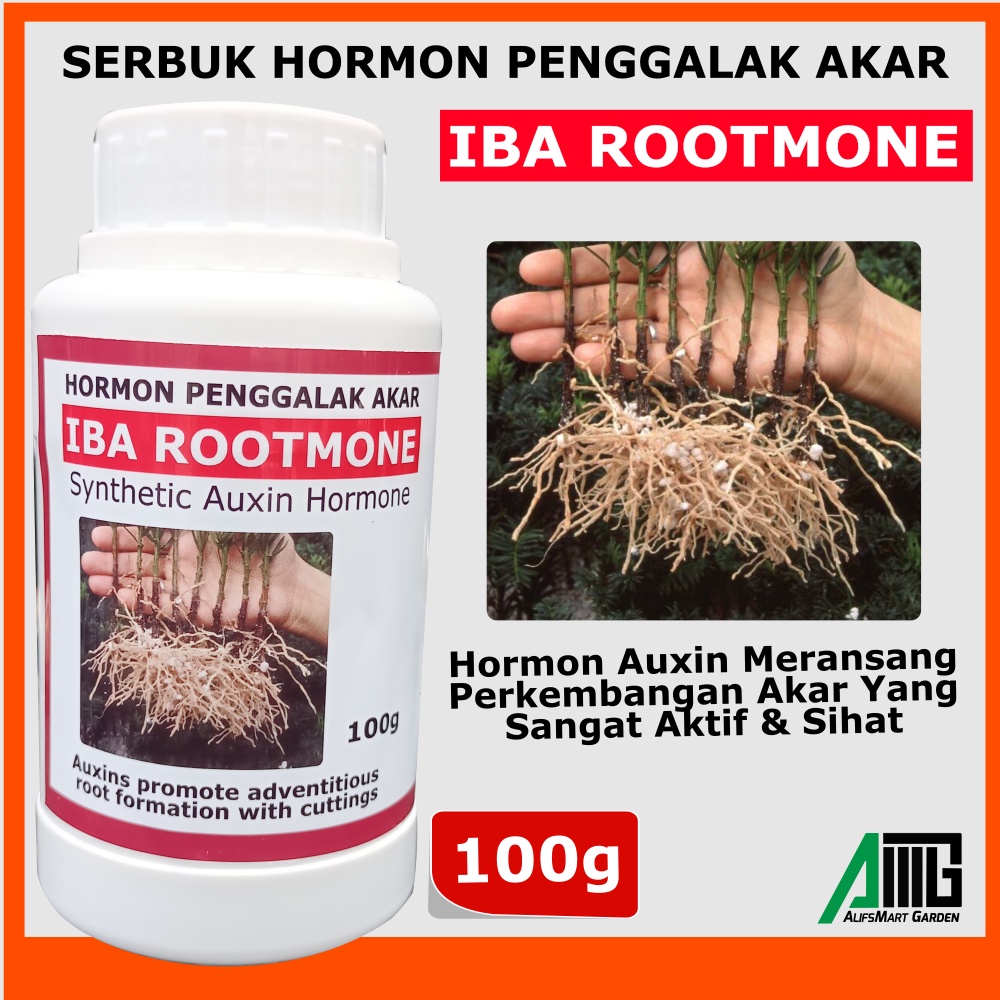 IBA ROOTMONE Serbuk Penggalak Akar Growth Rooting Auxin Hormone ...