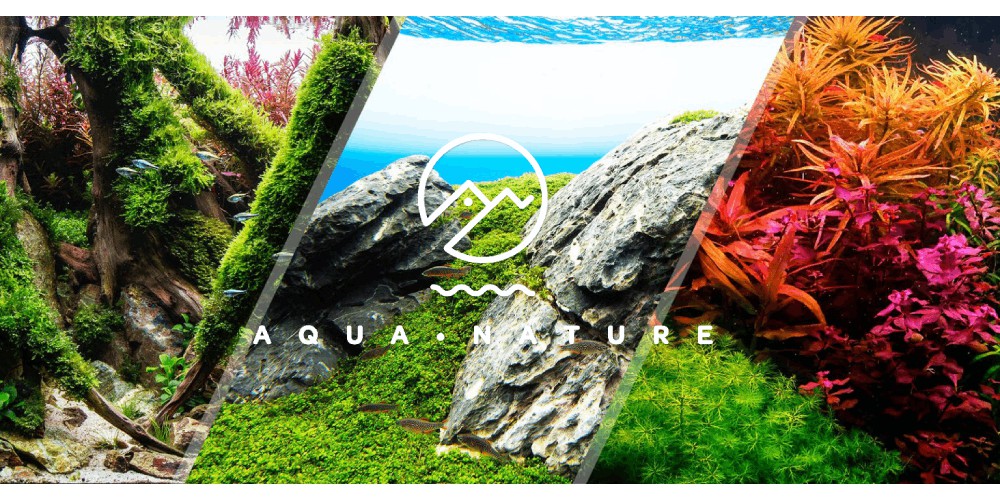 Aqua Nature Malaysia, Online Shop | Shopee Malaysia