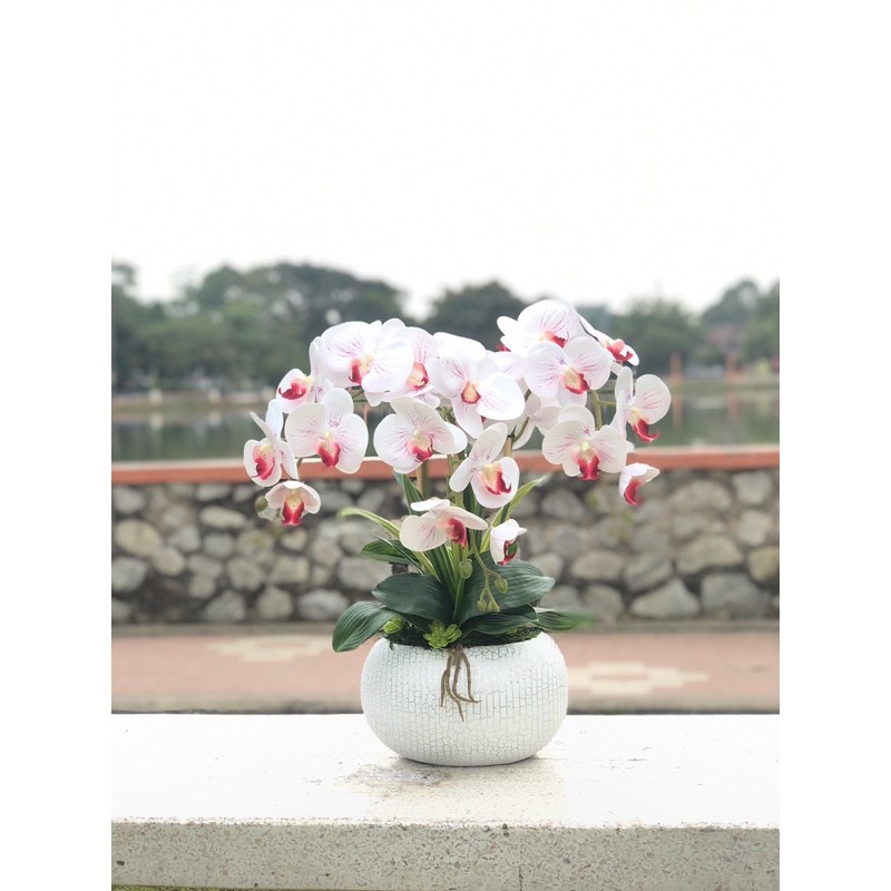 Orkid 3d latex gubahan 3 tangkai pasu seramik putih lebar dan besar ...