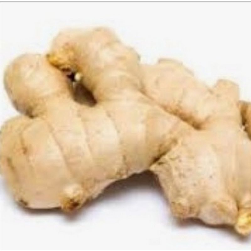 Halia china 500gm/pack | Shopee Malaysia