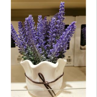 kaison - Prices and Promotions - Jul 2020 | Shopee Malaysia