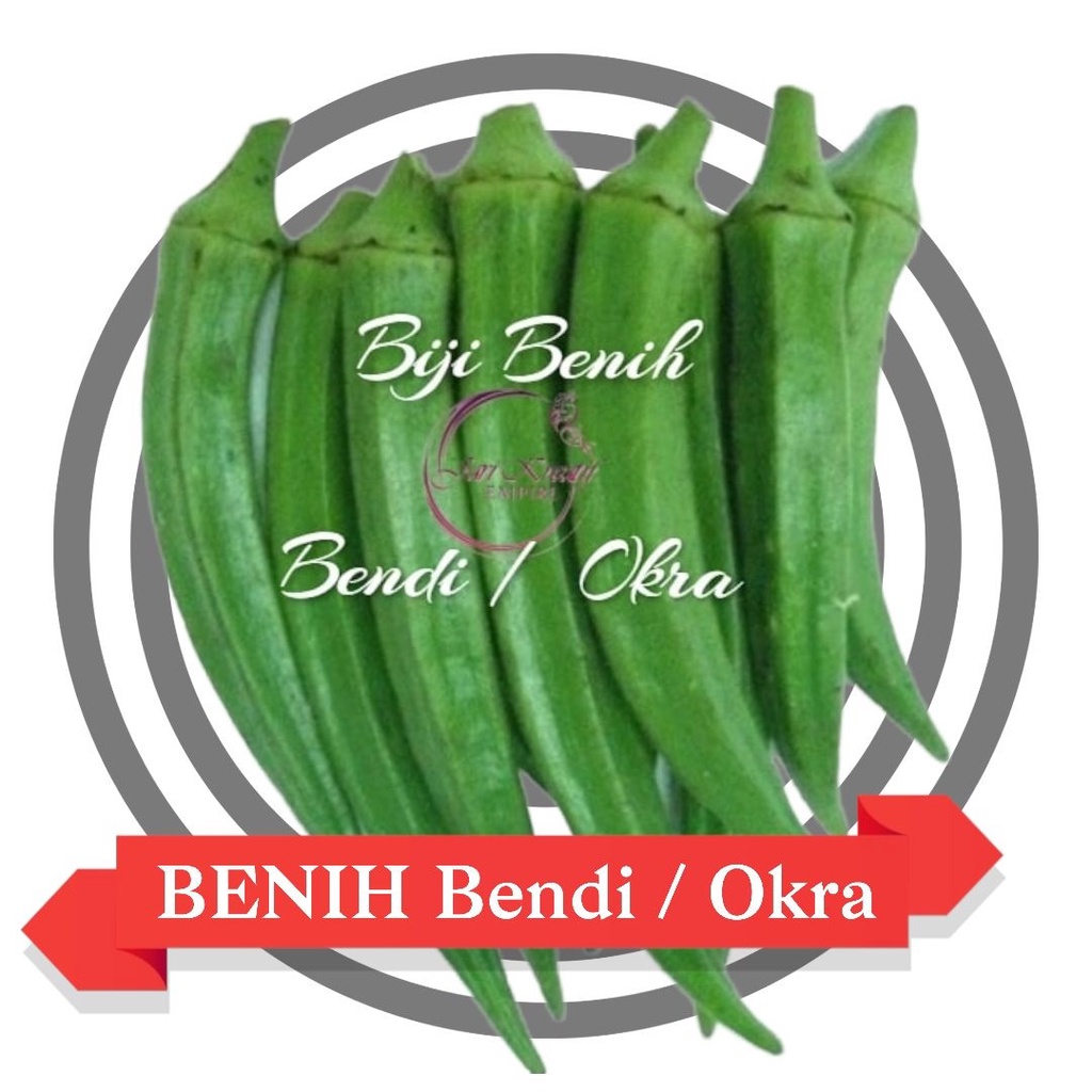 Benih bendi / Okra / Lady finger / Vegetable seeds (30pcs) | Shopee ...