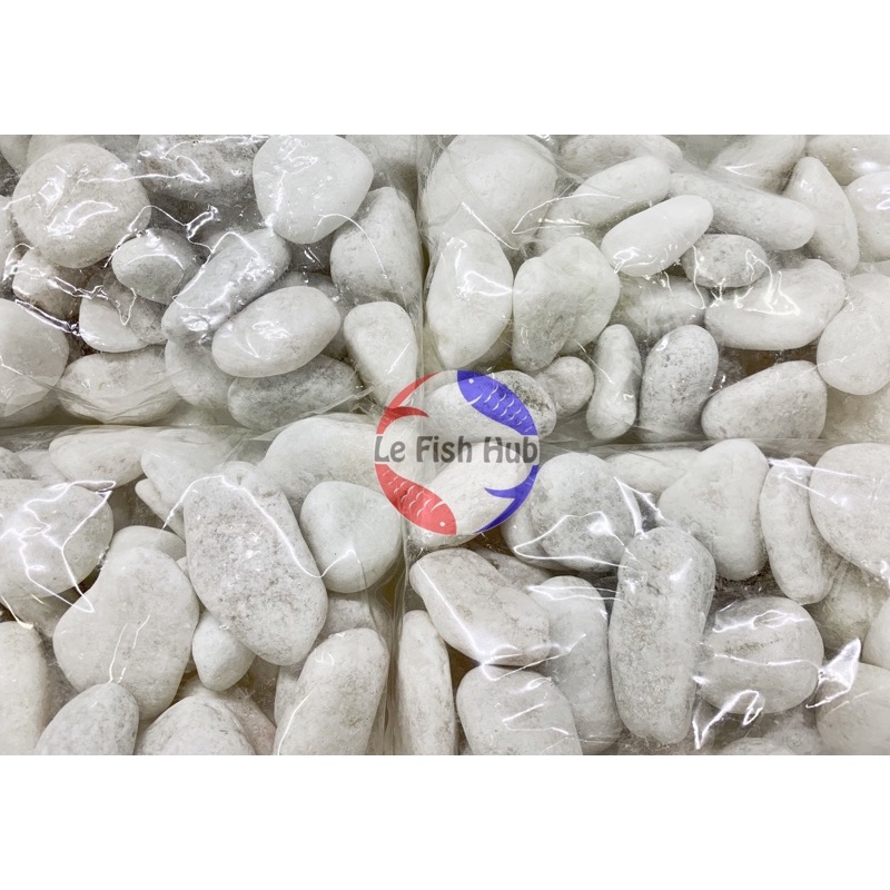 AQUARIUM DECORATIVE WHITE STONE 1KG | BATU HIASAN AKUARIUM | Shopee ...