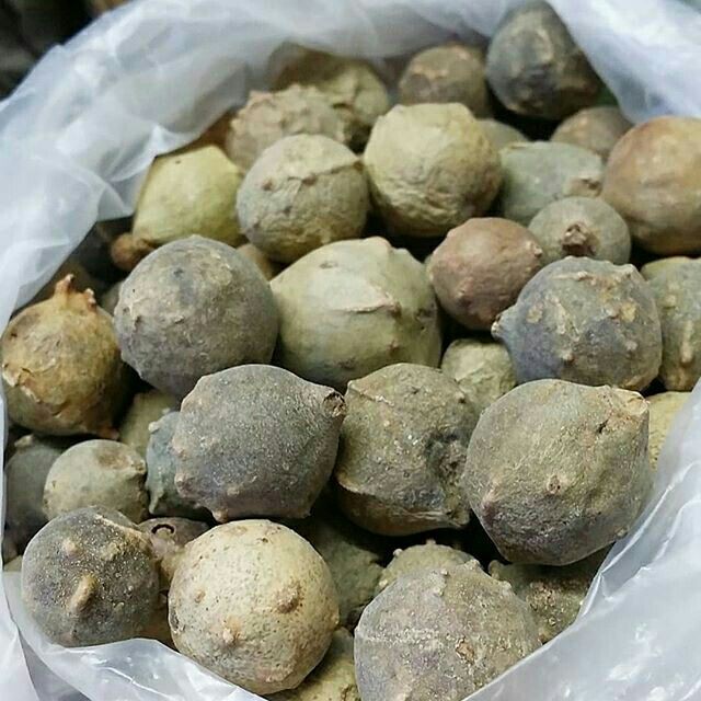 BIJI MANJAKANI /BUAH MANJAKANI(100G) | Shopee Malaysia