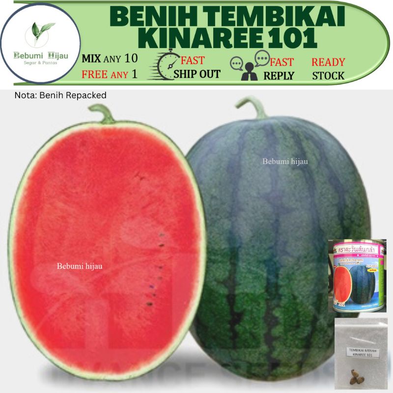 3 biji benih TEMBIKAI KINAREE 101 watermelon seeds repacked | Shopee ...