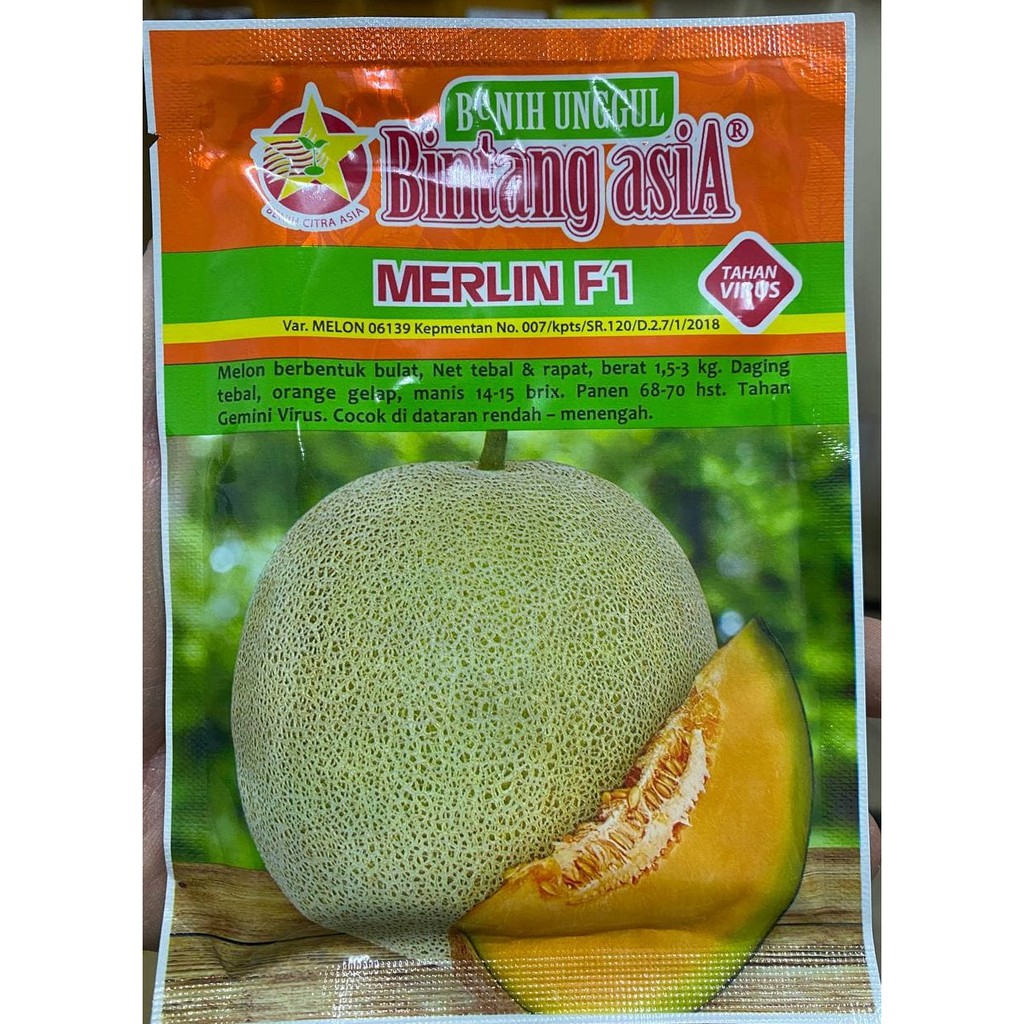 Benih Rock Melon Hibrid MERLIN F1 Bintang Asia (20gm) | Shopee Malaysia