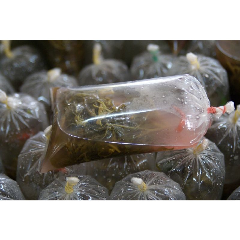 Jeruk maman jeruk mamey original kelantan | Shopee Malaysia