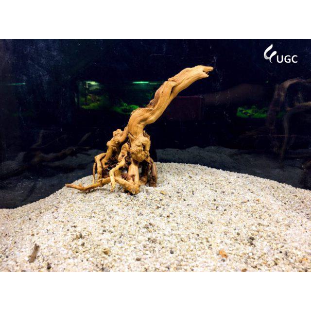 Tree Roots M Size(Aquascape/Aquatic/Wood/Root/Vivarium/Paludarium ...