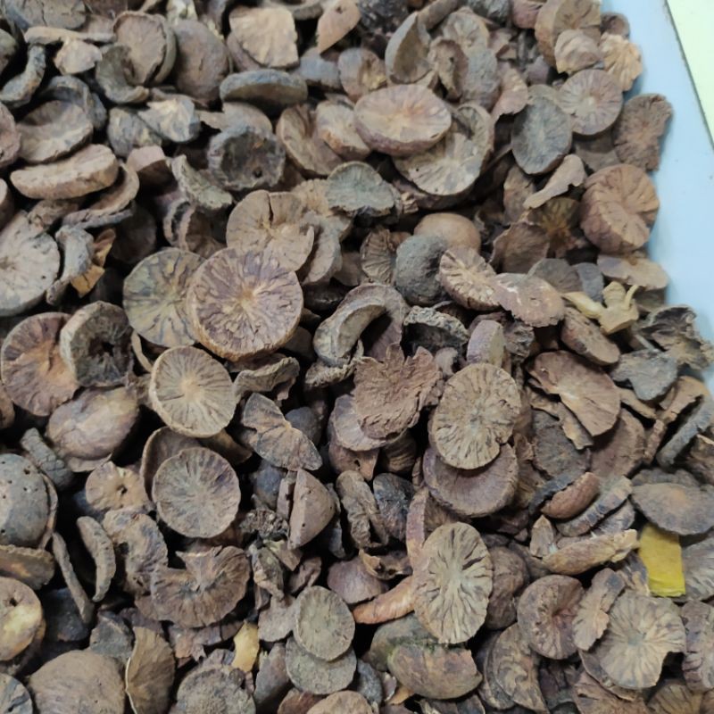 20 gm Dried Areca Nut / Betel Nut (Sliced) Buah Pinang kering【kering ...