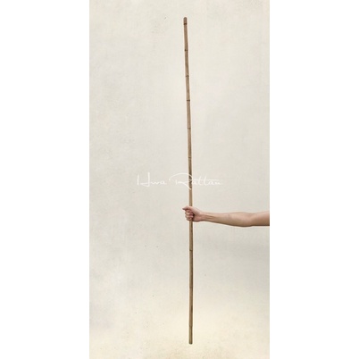 [72 inch/183cm/6ft] Rattan stick / Rotan panjang / Rotan pukul ular ...