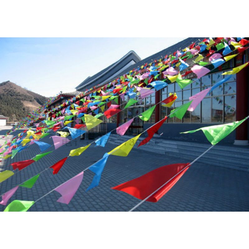 Triangle Flag Multi Colour Event Flag Bendera Segi Tiga Bunting Sukan ...