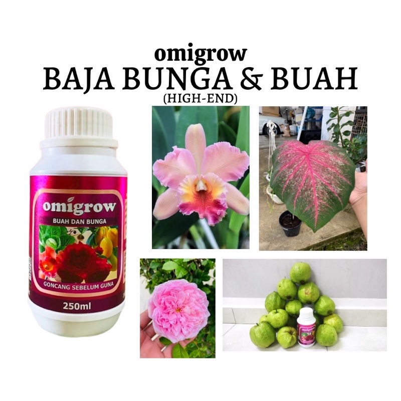 Baja bunga dan buah omigrow penggalak bunga penggalak buah baja orkid ...
