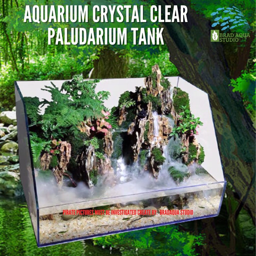 AQUARIUM Fish Tank Crystal Clear Tank Paludarium Tank 30CM/36CM/40CM ...