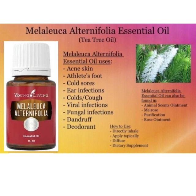 Melaleuca Young Living