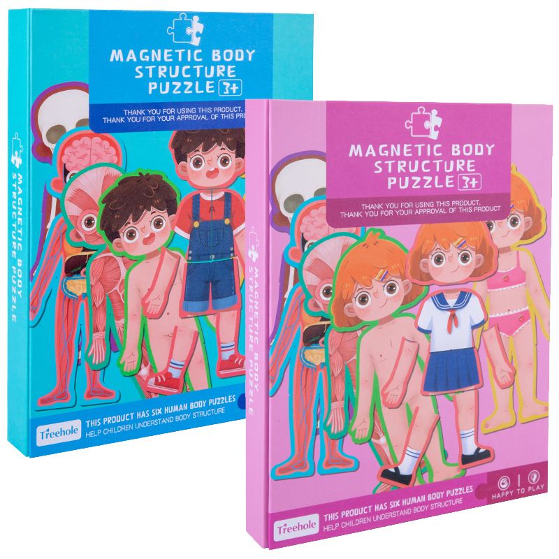 Magnetic Educational Human Body Structure Puzzle Boygirl Shopee 5348