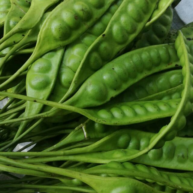 PETAI FRESH DARI KEBUN | ISI PETAI PADAT | Shopee Malaysia PETAI FRESH DARI KEBUN | ISI PETAI PADAT | Shopee Malaysia